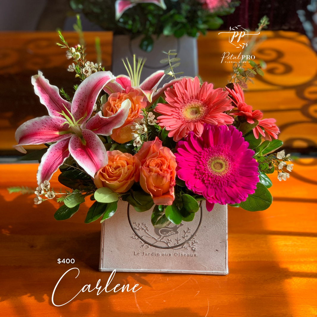 Welcome to The Petal Pro